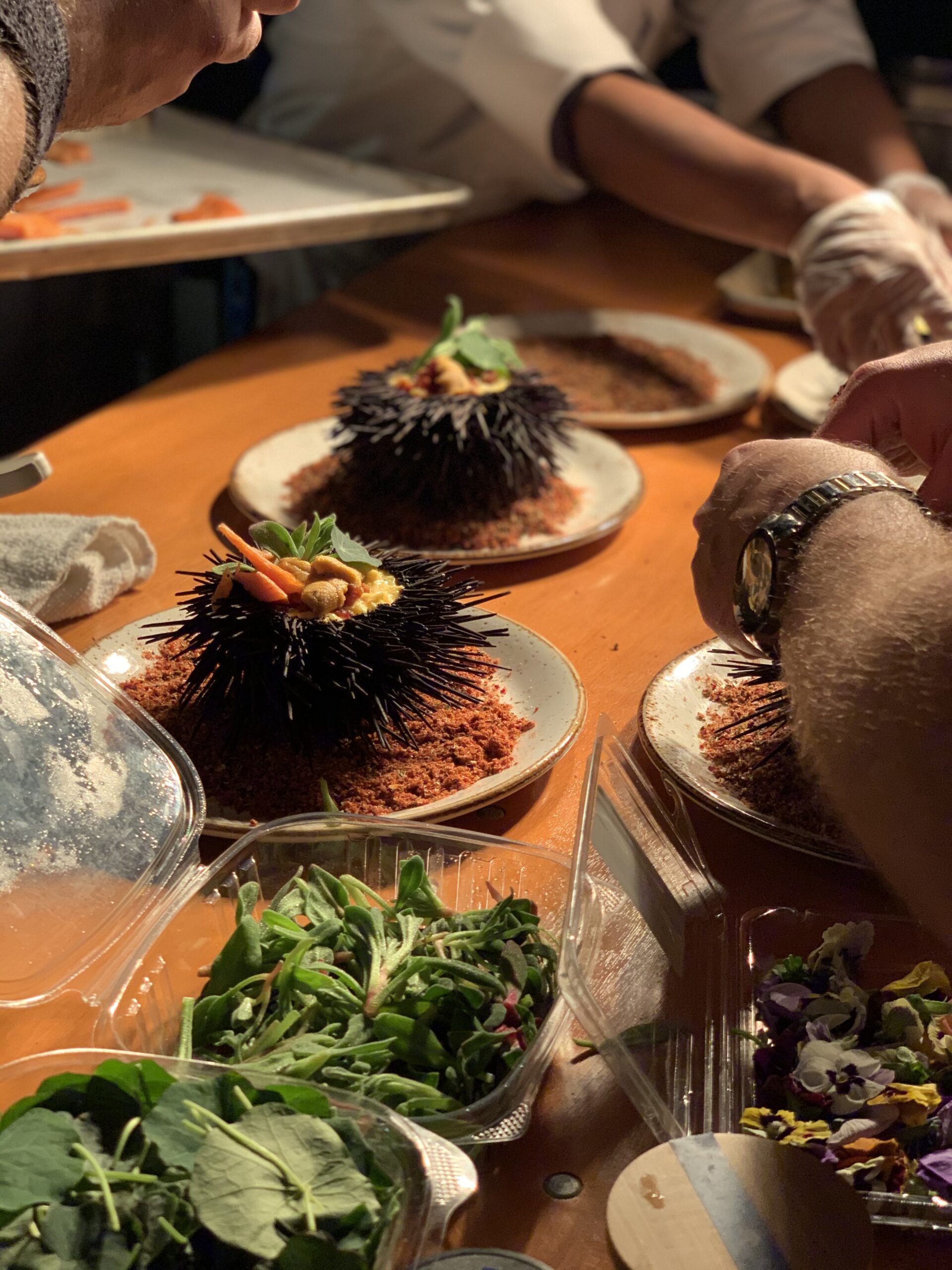 Catering - SSA Group